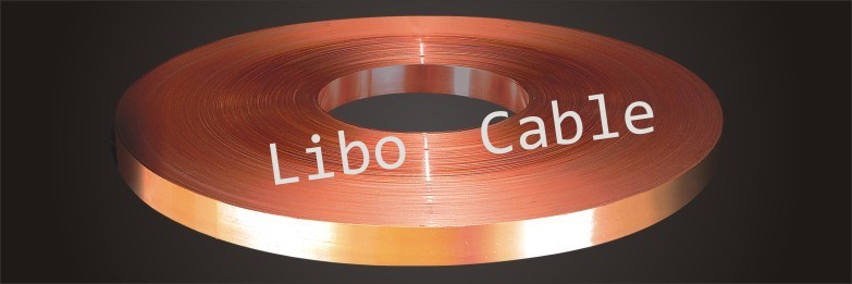 Cold Roll Transformer Copper Strips For Large Scale Motor , Heat Resistant